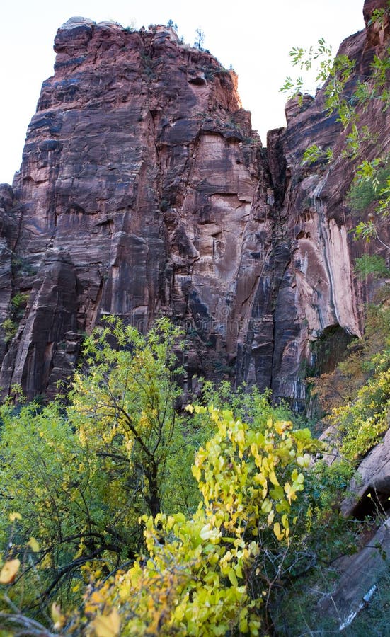 Zion Rock Formation and Trees Stock Photo - Image of zion, united: 11601812