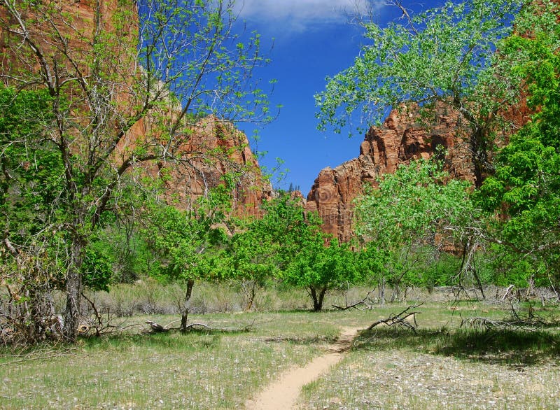 Big Spring In Zion Canyon, Taken During The Narrows Hike At Zion Stock ...