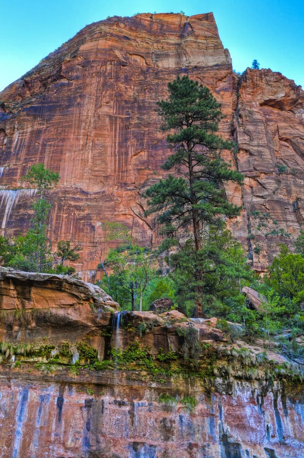 Zion Waterfall stock photo. Image of leaves, seasonal - 20587306