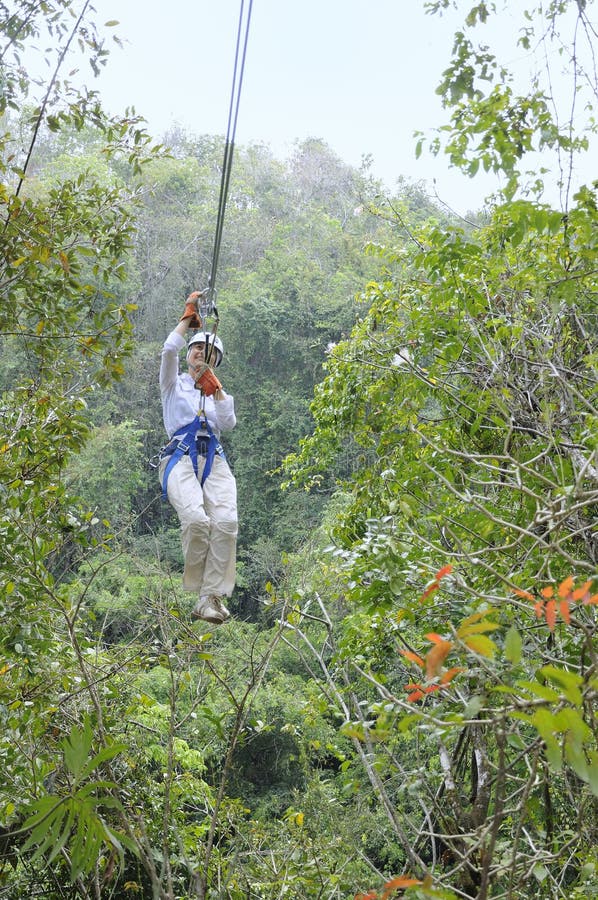 Zip line stock photo. Image of hanging, lady, straps - 17091848