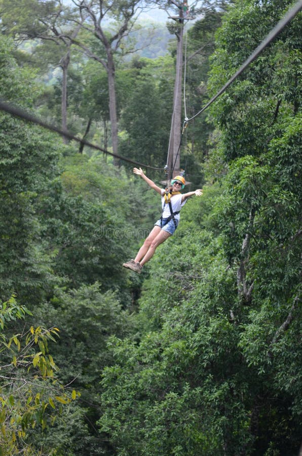 Zip line editorial stock photo. Image of entertainment - 52113073