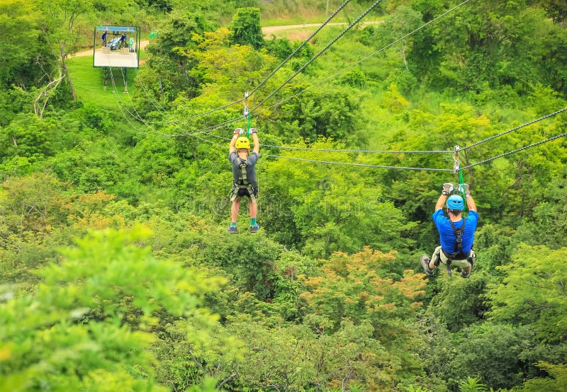 Zip lining over a jungle editorial image. Image of father - 344341275