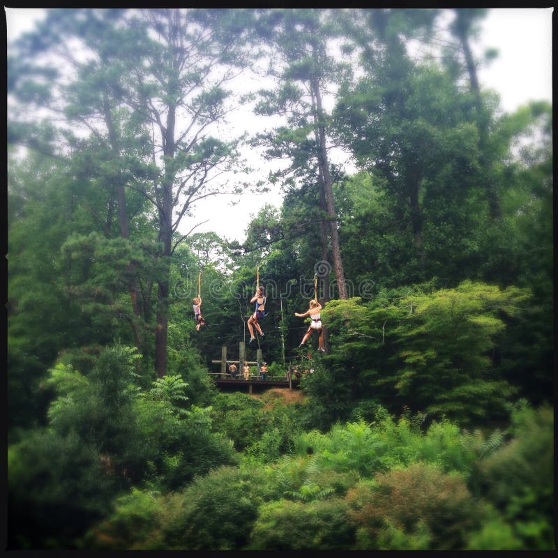 Zip Lining editorial stock image. Image of canopy, active - 42962014