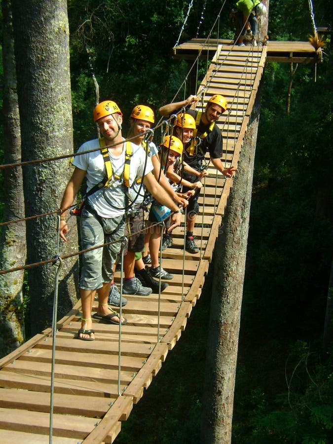 Zip Lining on Wooden Bridge Editorial Photography - Image of spider ...