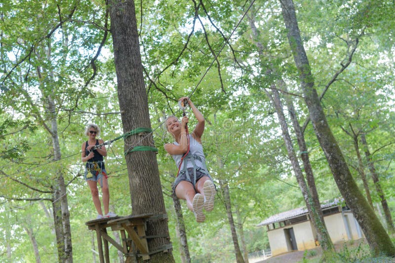 Zipline in between trees stock image. Image of nature - 116230019
