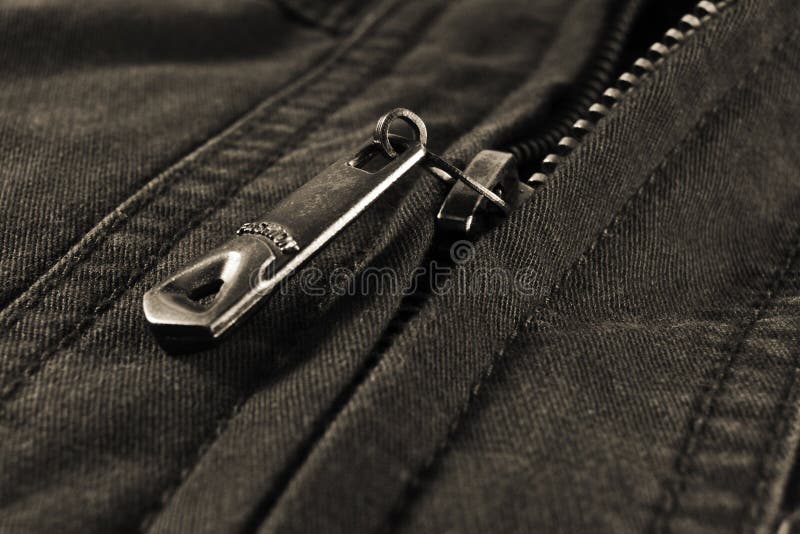 Zipper stock photo. Image of elegant, blazer, clothes - 31817014
