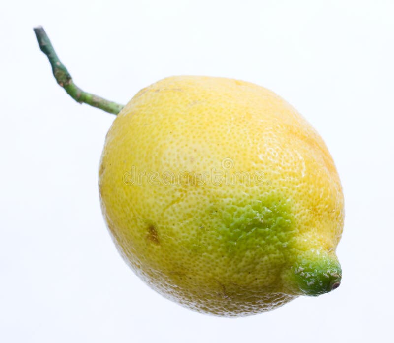 Zitrone stockfoto. Bild von frech, nave, zitrusfrucht - 11852444