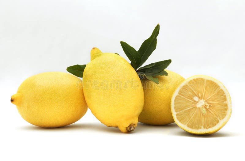 Zitrone stockfoto. Bild von bauernhof, getränk, energie - 21507022