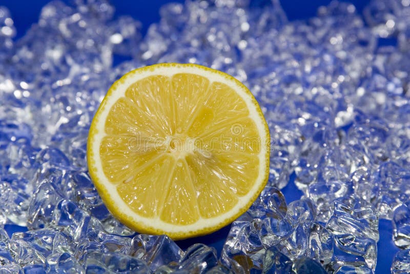 Citron halfed stock photo. Image of juicy, citrus, yellow - 146030060