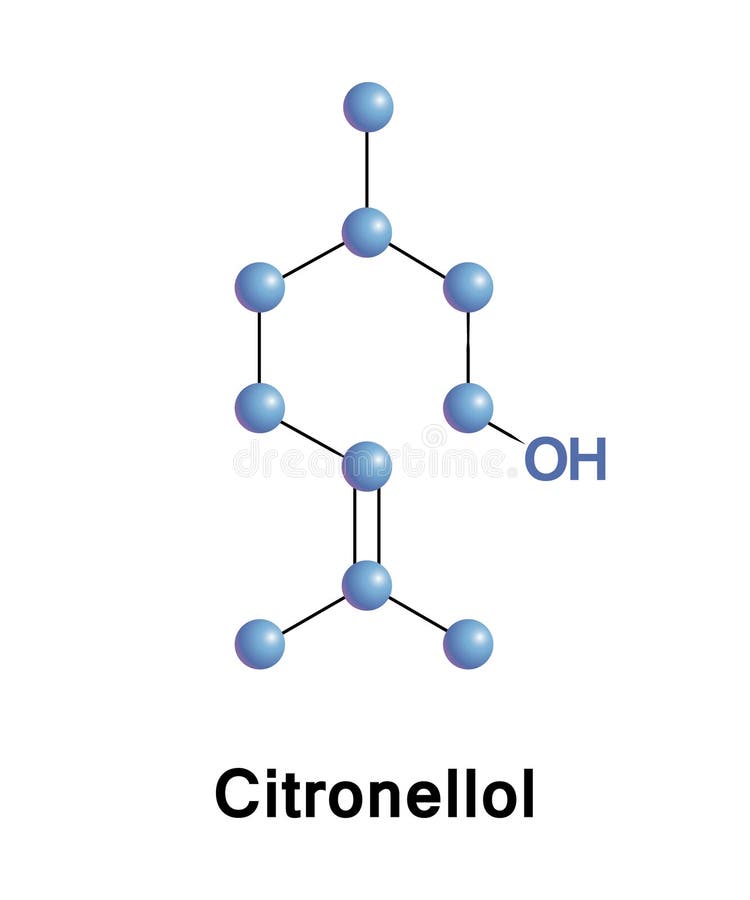 Azyklisch Stock Illustrationen, Vektoren, & Kliparts - 75 Stock ...