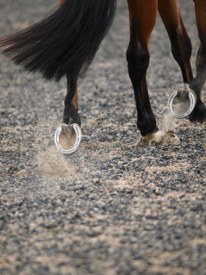 Estratto dello zoccolo immagine stock. Immagine di zoccolo - 154334027