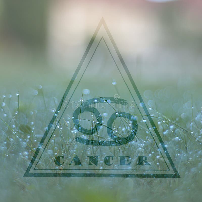 Zodiac Sign Leo in a Triangle, the Element of Fire in the Horoscope ...