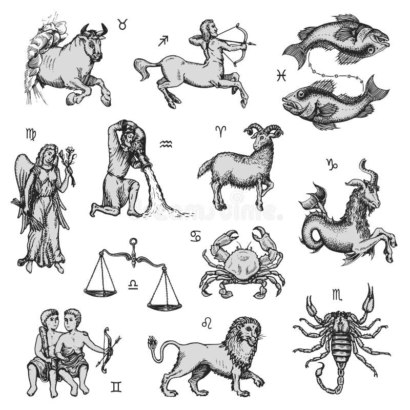 Zodiac Signs Set Vector Drawing Horoscope Design Stock Vector