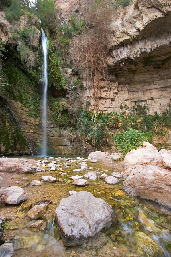 Zoet water stock foto. Image of altijdgroen, berg, rivier - 3134308