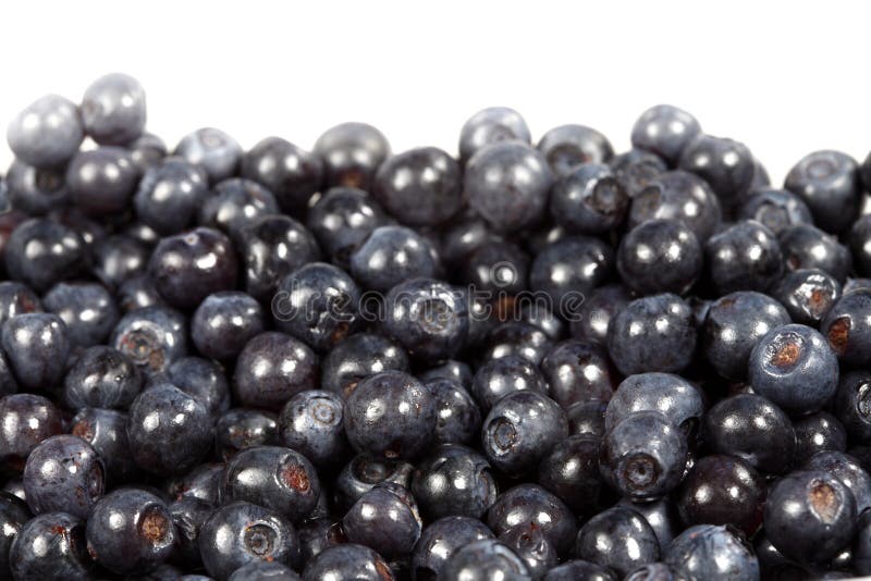 Blauwe bosbessen stock foto. Image of moeras, geïsoleerd - 22290828