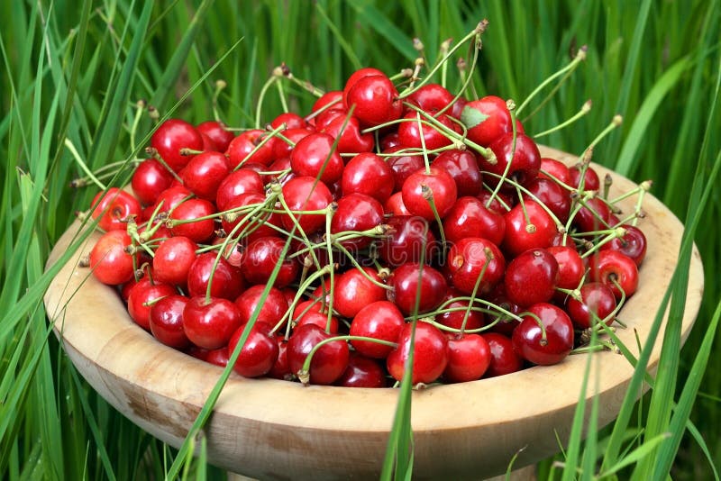 Zoete kersen stock foto. Image of kersen, gezond, lente - 14614850