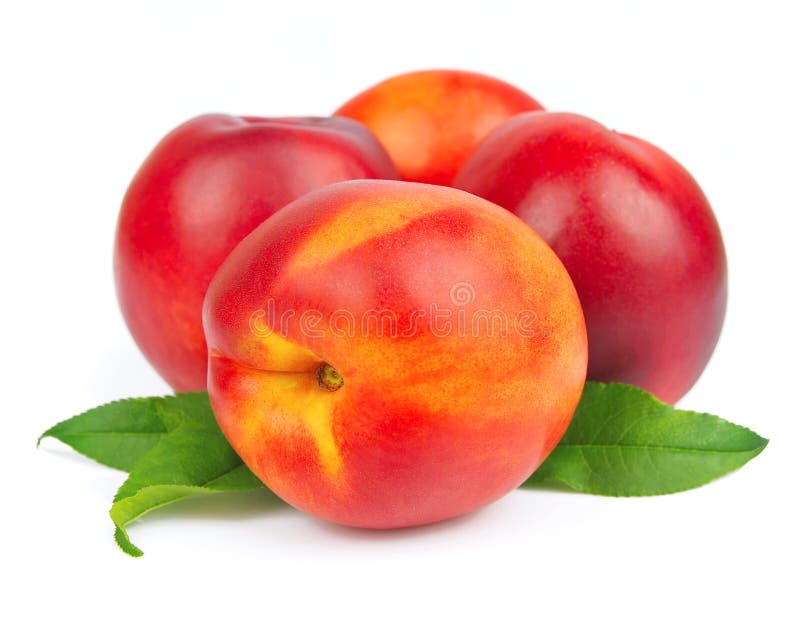 Wilde perziken stock afbeelding. Image of besnoeiing - 19333083