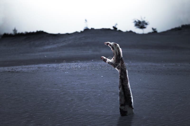Zombie Hand with Blood and Wound Stock Image - Image of mystery, hand ...