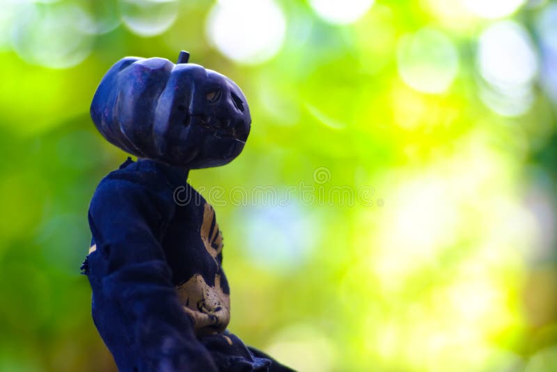 699 Pumpkin Head Huntie Zombie Stock Photos - Free & Royalty-Free Stock ...