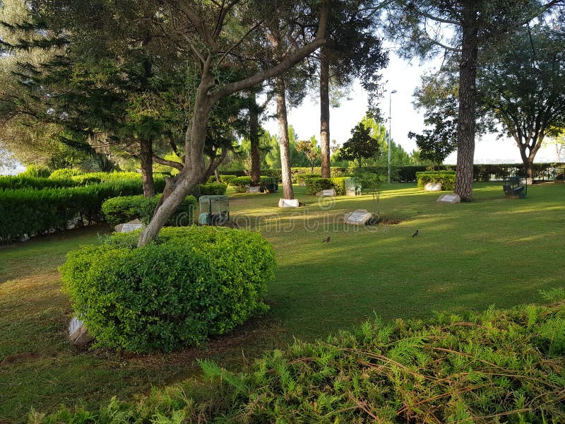 Zona De Parque Verde Ideal Para Pasear Foto de archivo - Imagen de ...