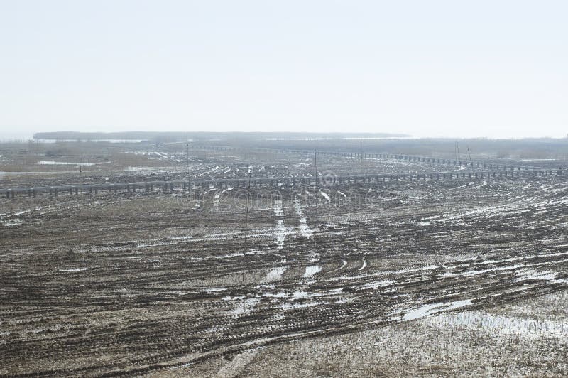 Zona intermareal imagen de archivo. Imagen de prado, shangai - 13518507