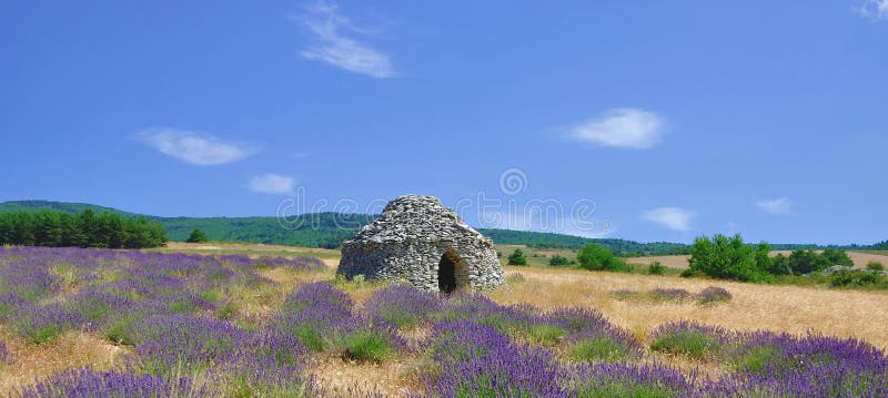 Zone de Levander, Provence image stock. Image du zone - 22494891
