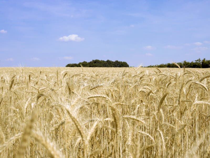 Zone de texture 4 photo stock. Image du ciel, énergie - 5683684