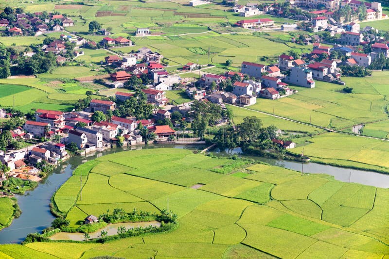 Zone rurale au Vietnam photographie éditorial. Image du paddy - 42646647