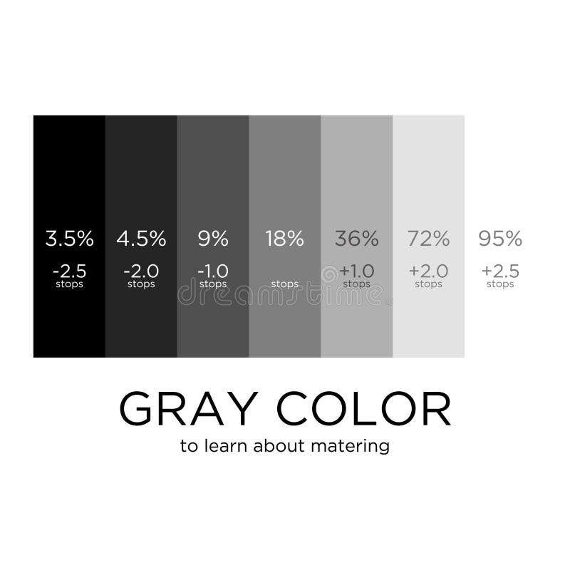Grayscale Value Scale Stock Illustrations – 6 Grayscale Value Scale ...