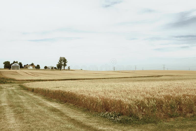 Zones de la texture photo stock. Image du rural, texture - 26187902