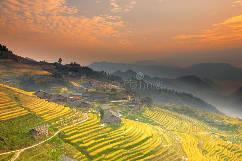 Rizières En Terrasses De Yuanyang, Yunnan, Chine Photo stock - Image of ...