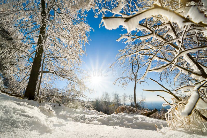 Zonnig De Winterlandschap in Sneeuw Stock Foto - Image of tafereel ...