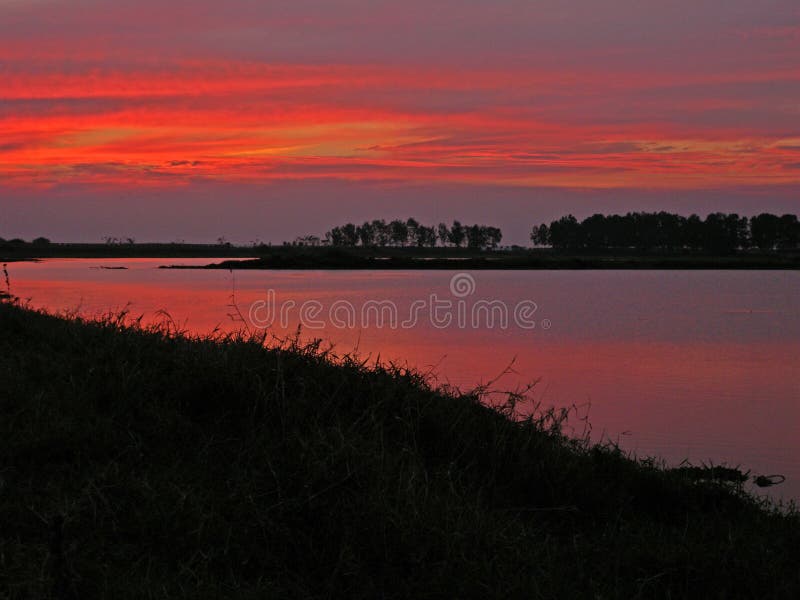 Candaba Swamp Stock Photos - Free & Royalty-Free Stock Photos from ...