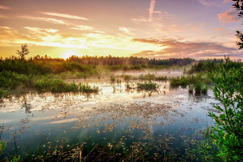 Zonsopgang op het moeras stock foto. Image of zonsopgang - 67313510