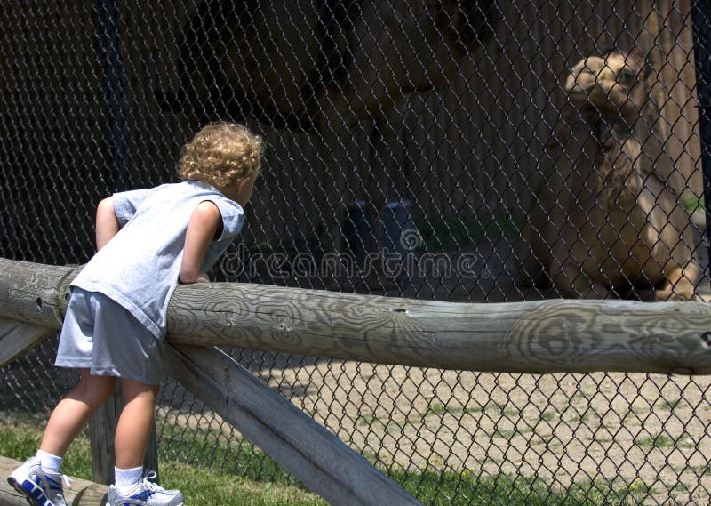 At the Zoo stock photo. Image of white, caucasian, people - 3570012