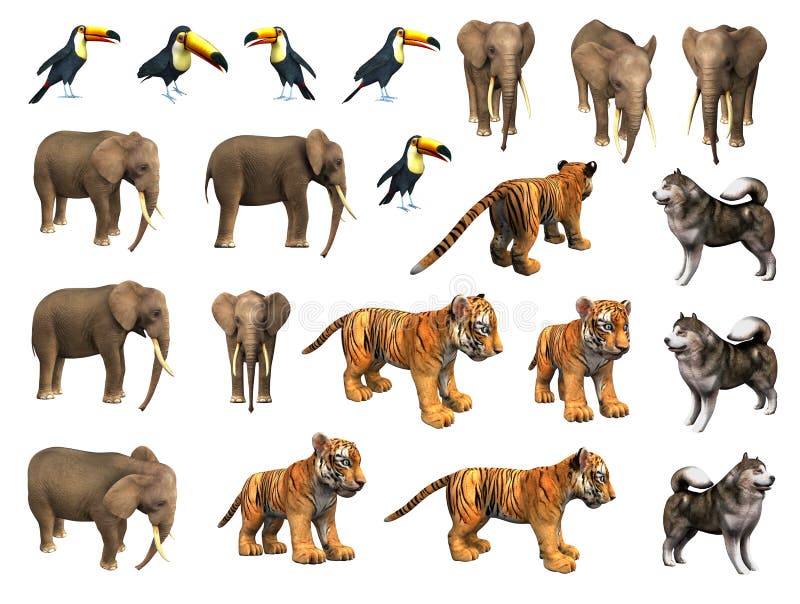 Zoo animals collection stock illustration. Illustration of zoology ...