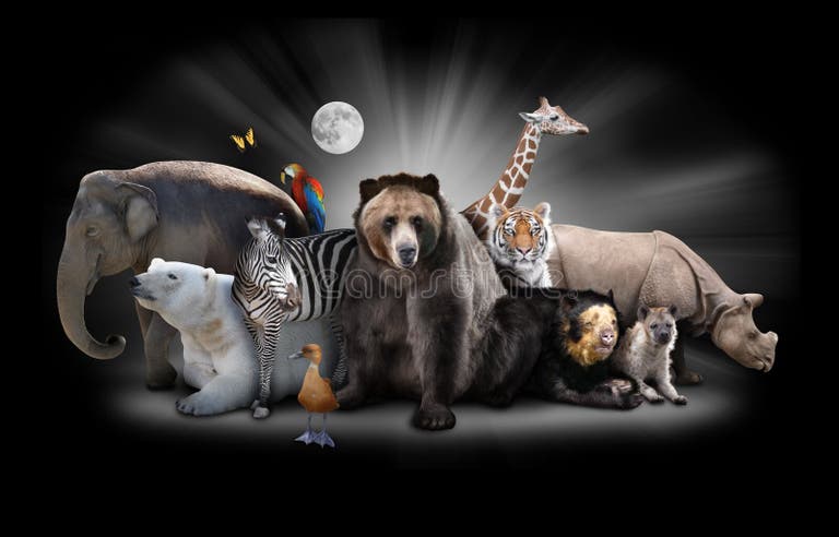 Animals Migration Stock Illustrations – 5,864 Animals Migration Stock ...
