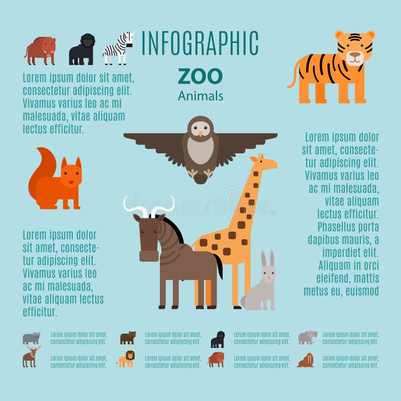 Zoo Animals Vector Infographic Stock Vector - Illustration of childhood ...
