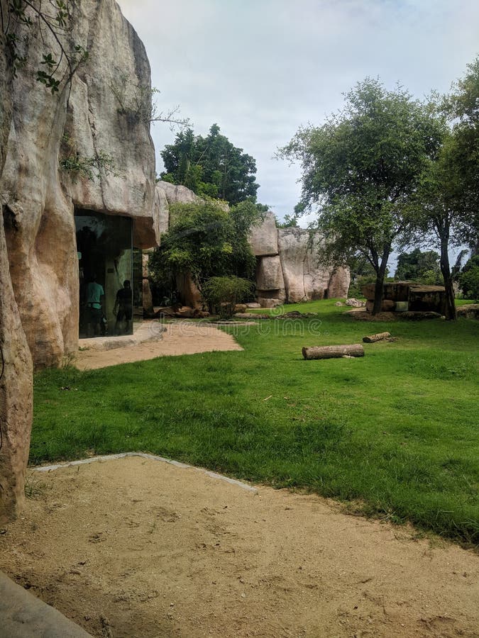 The Zoo in Bali Has the Name Bali Zoo Where There are Many Kinds of ...