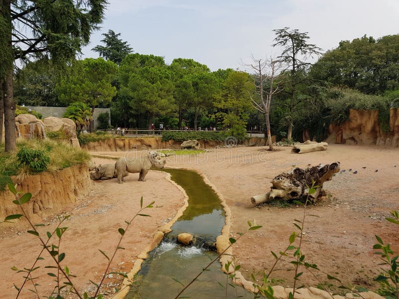 Zoo editorial stock image. Image of italy, italian, animals - 138078969