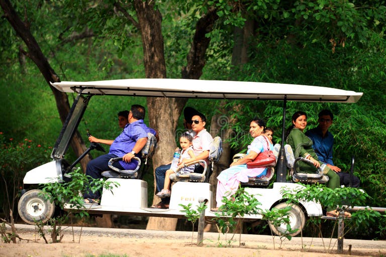 Zoo car editorial stock photo. Image of safari, greenery - 19957378