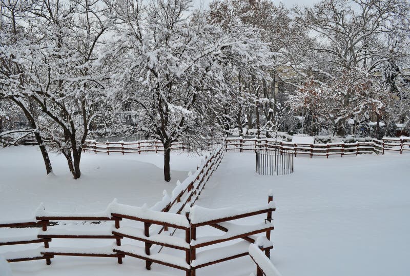 Zoo Covered with Snow and Ice Stock Image - Image of belgrade, beograd ...