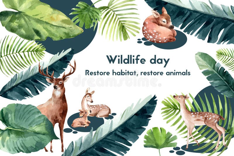 Zoo Frame Design with Deer, Leaves Watercolor Illustration Stock ...