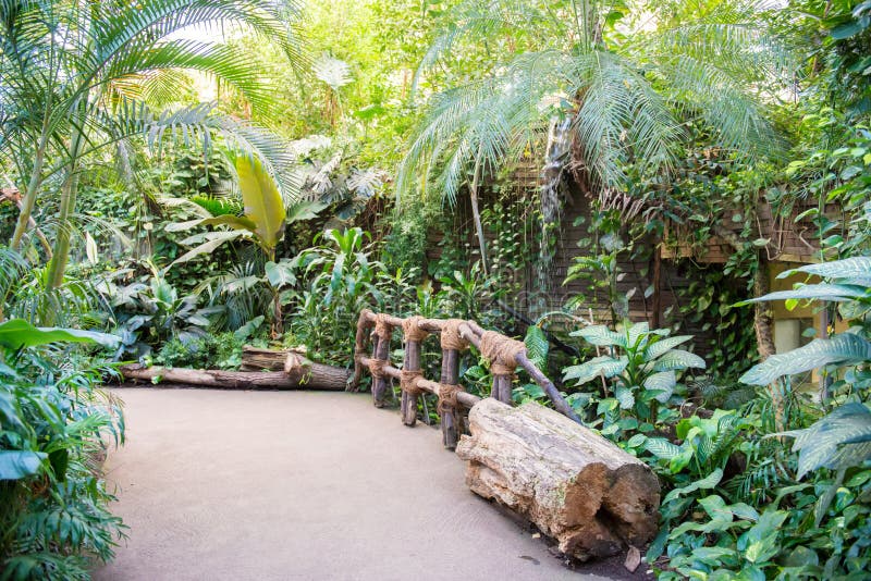 Zoo jungle stock photo. Image of green, bench, grass - 49743530