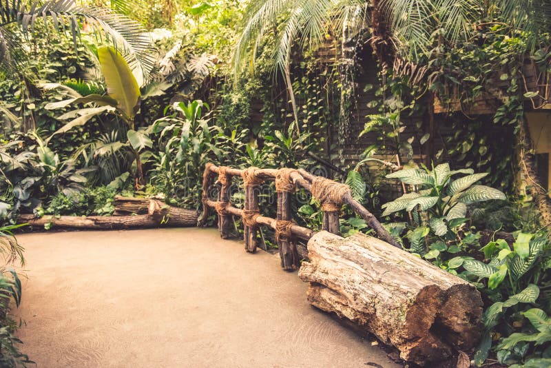 Zoo jungle stock photo. Image of bench, grass, green - 49743548