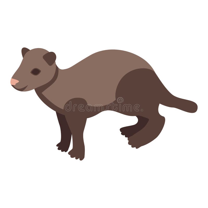 Zoo Mink Icon, Isometric Style Stock Vector - Illustration of funny ...