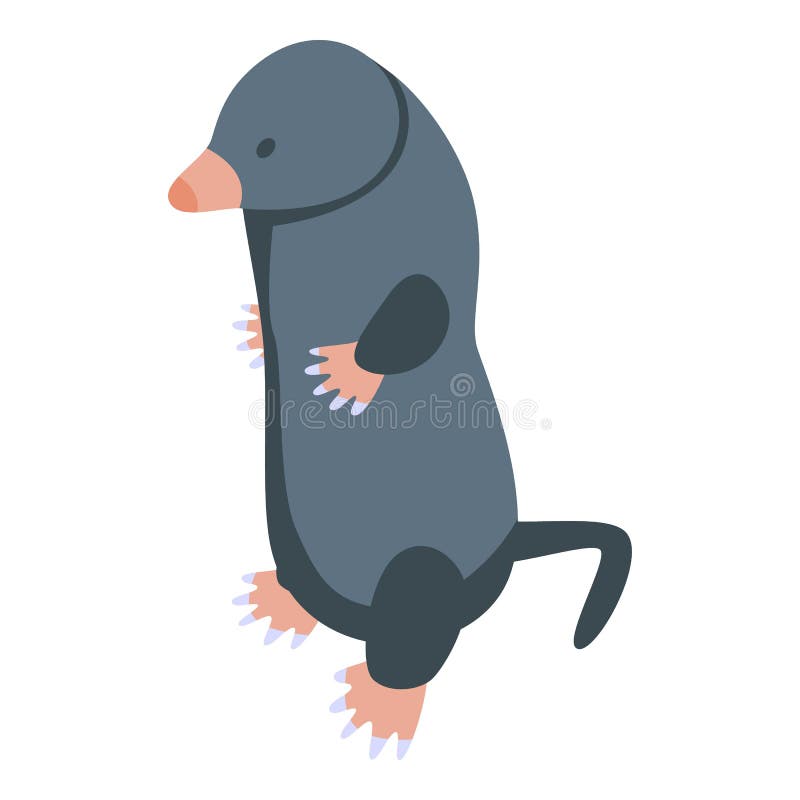 Zoo Mole Icon Isometric Vector. Cute Animal Stock Illustration ...