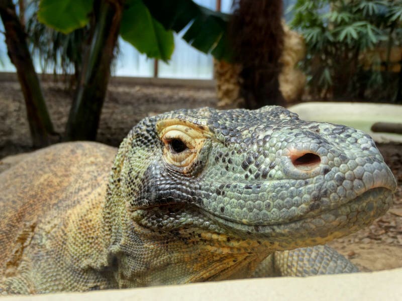 Zoo Servion and Tropiquarium of Servion - 2017 Stock Photo - Image of ...