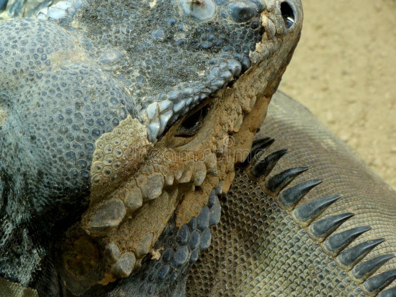 Zoo Servion and Tropiquarium of Servion - 2017 Stock Image - Image of ...