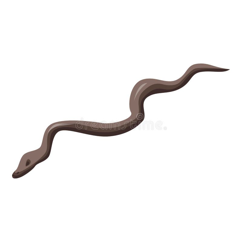 Zoo Snake Icon, Isometric Style Stock Vector - Illustration of ...
